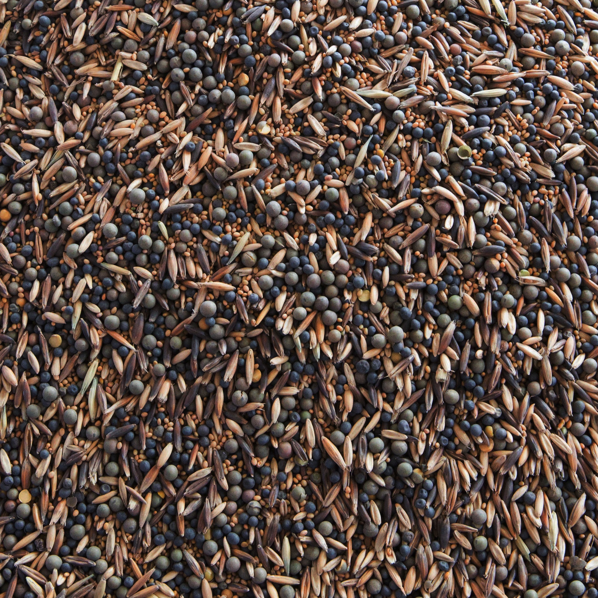 Collections – No-Till Solutions